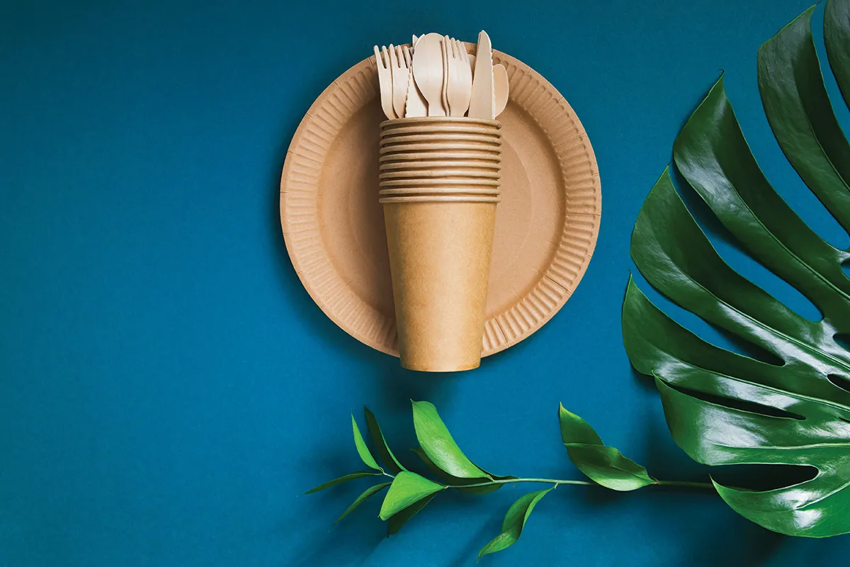 The Rise of Sustainable Practices in Cafes - Aro Base Cafe